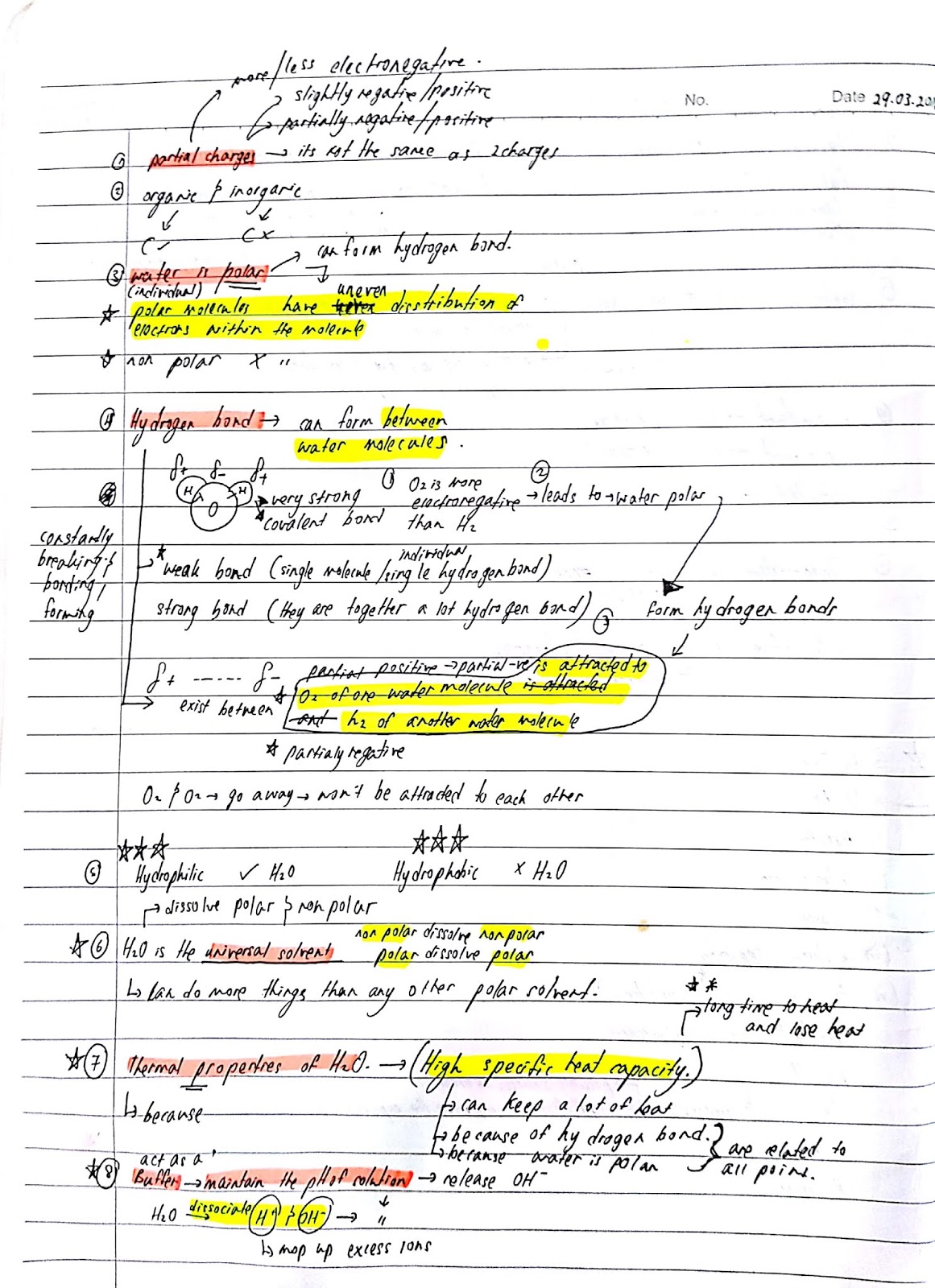 MUFY Biology Semester 1 Notes (RAW)