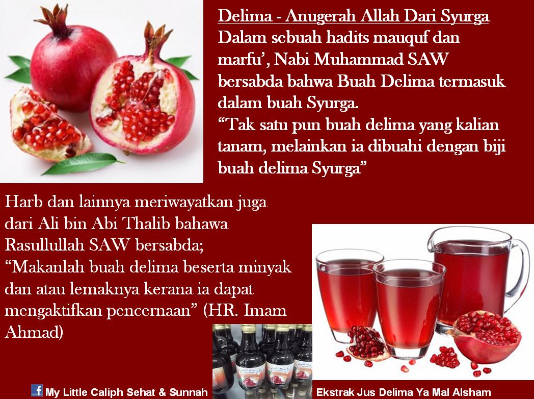 Blog Santai: 12 Sebab Kenapa Perlu Makan Delima