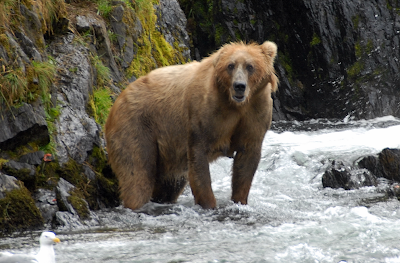 Mrs. Yollis' Classroom Blog: January 2012