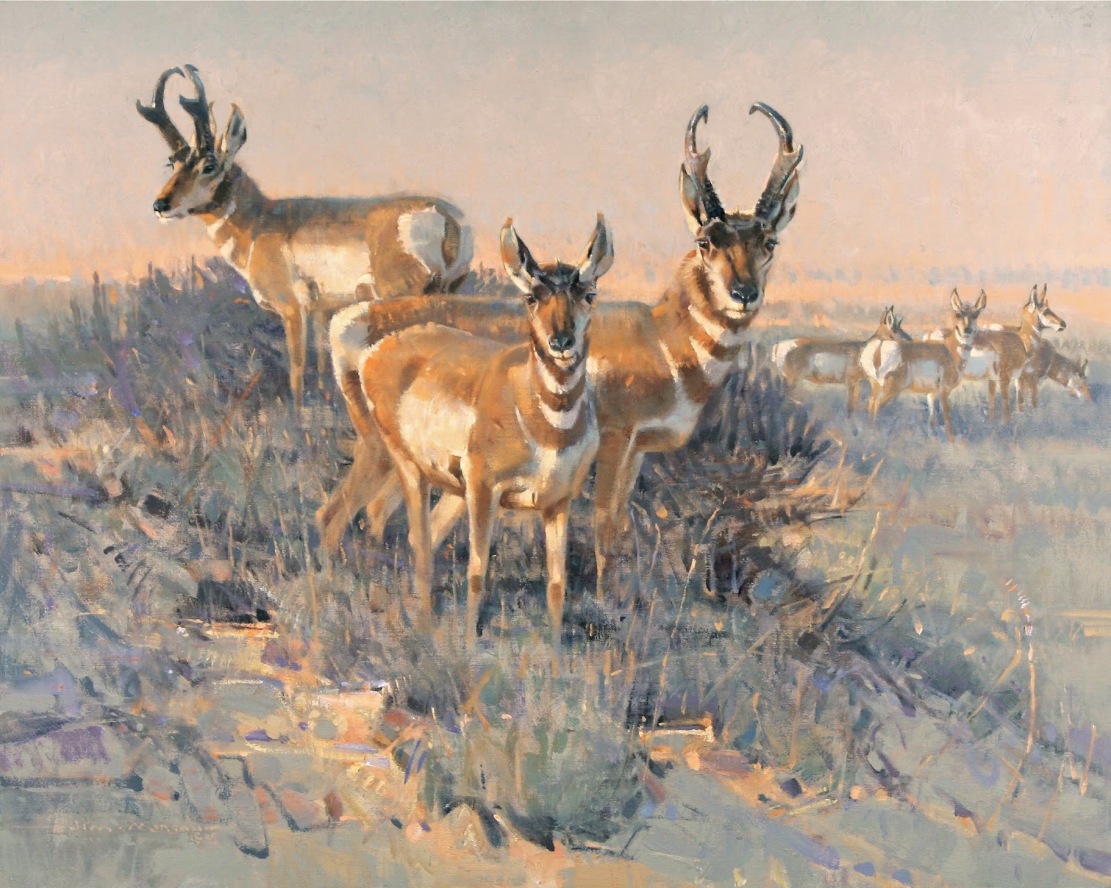 Jim Morgan Art: Current Works