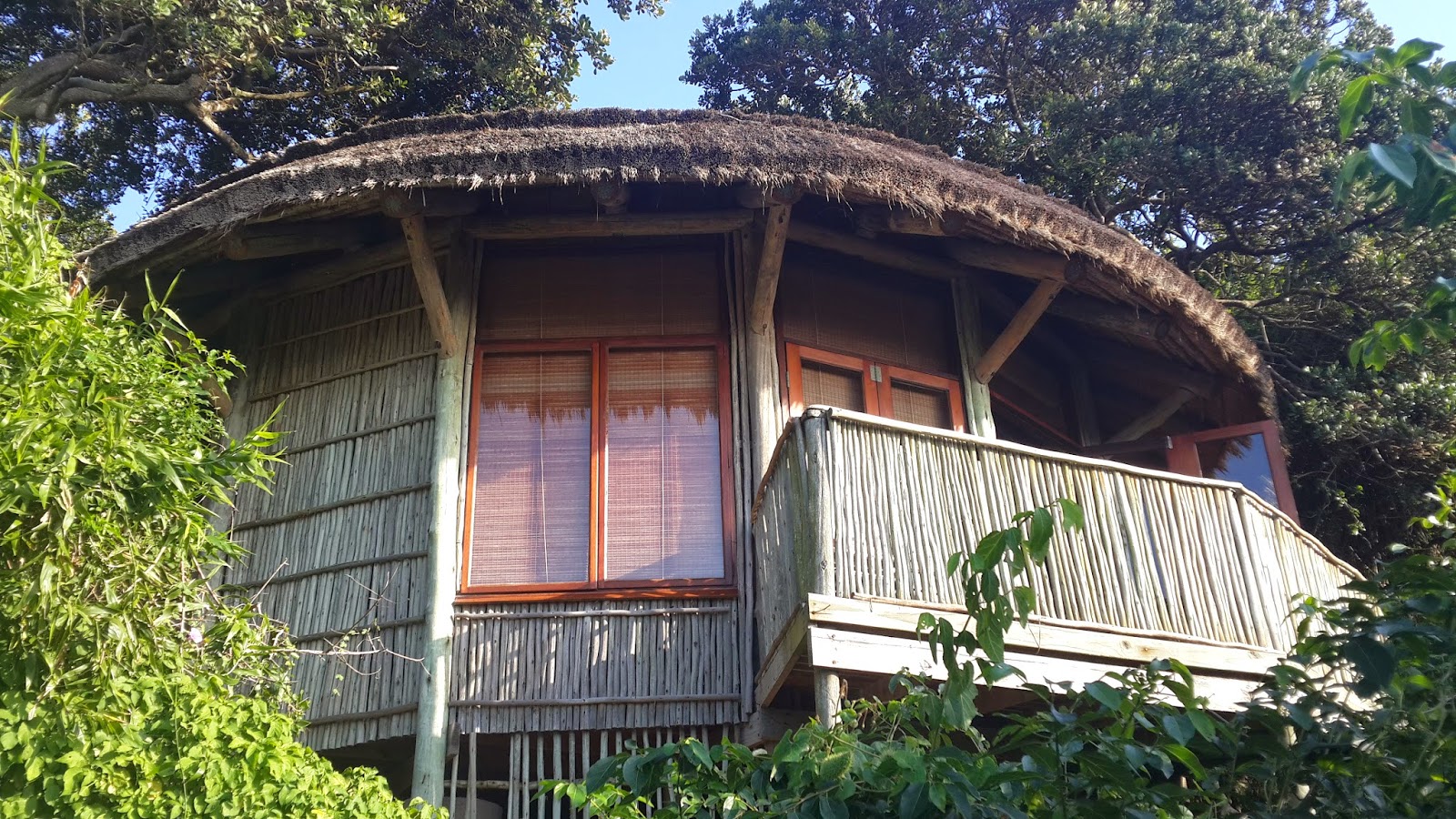 CharacterStays: Thonga Beach Lodge, Mabibi