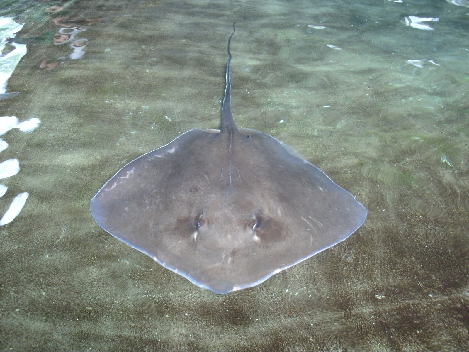 Lu and B: Two With Nature