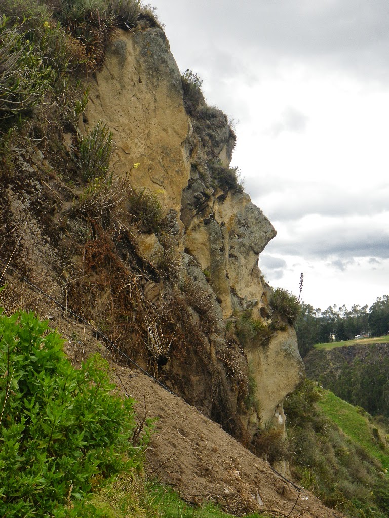 ஜ۩۞۩ஜ Azulestrellla ஜ۩۞۩ஜ: El Ingañahui o la ··Cara del Inca·· de ...