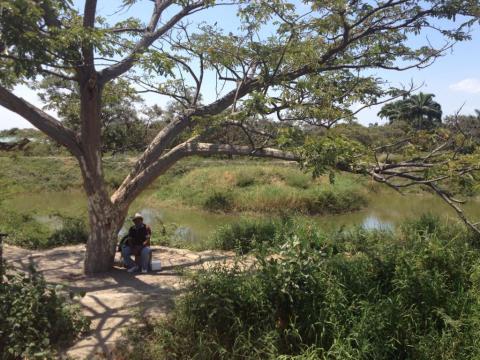 ISLA SANTAY: La isla que se salvó de ser Disneylandia