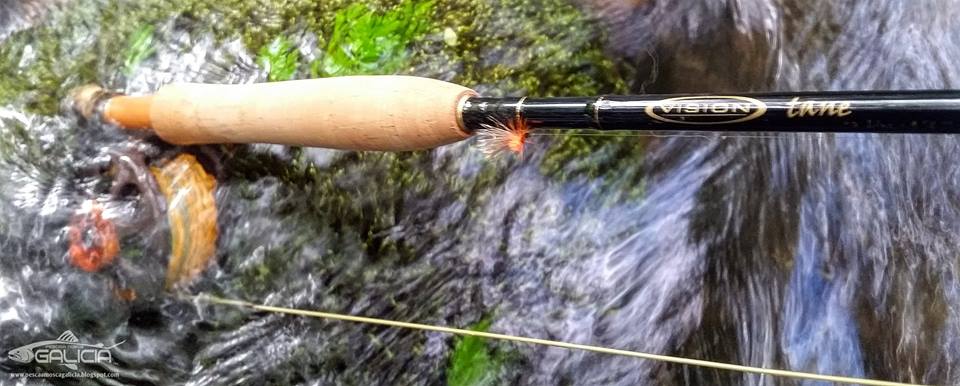 Pesca a Mosca Galicia: VISION TANE REVIEW
