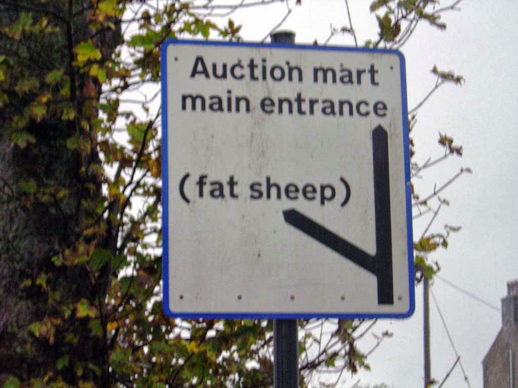 Papaleng Thoughts-Unplugged: 20 Strange and Funny Road Signs