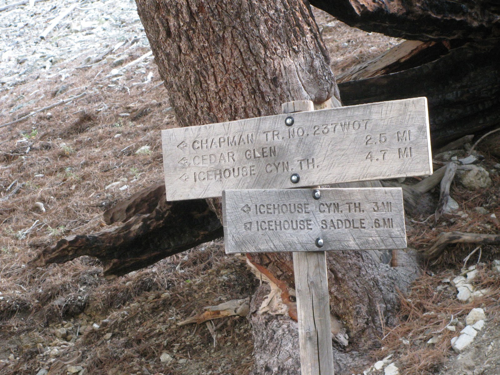 A Warm Summit At Timber Mountain | The Shaded Trail