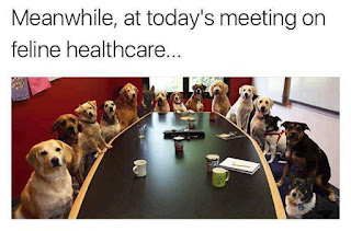 Ridiculously inconsistent trickle of consciousness: March 2017