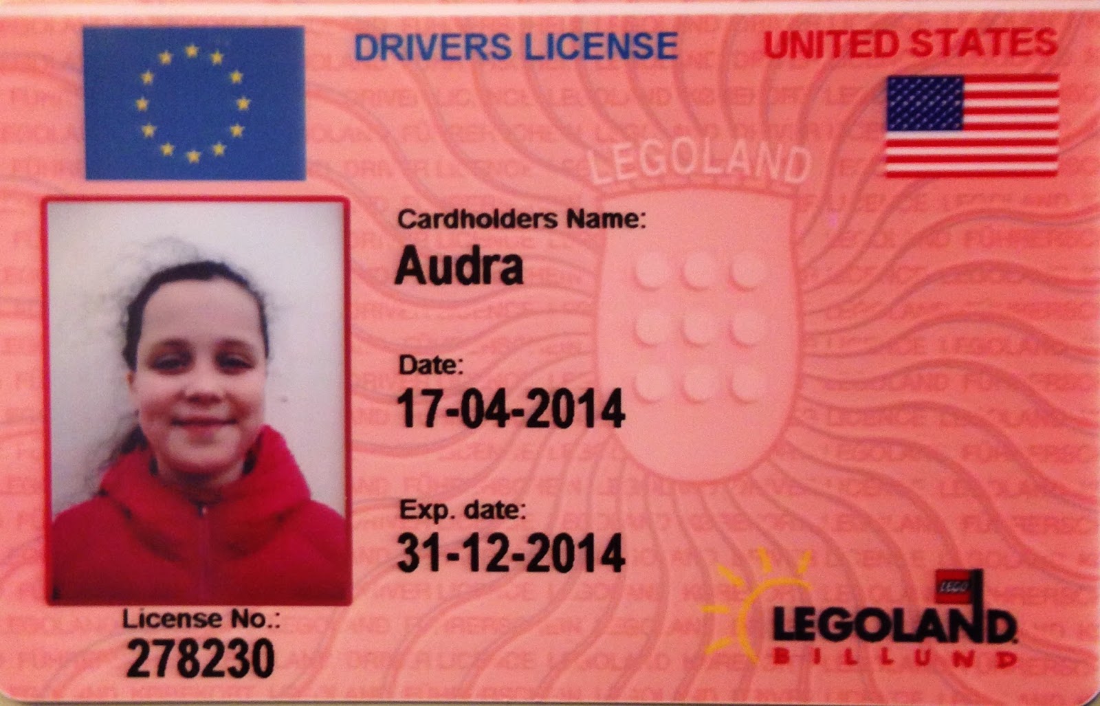 The Castle Home: Legoland - Billund, Denmark