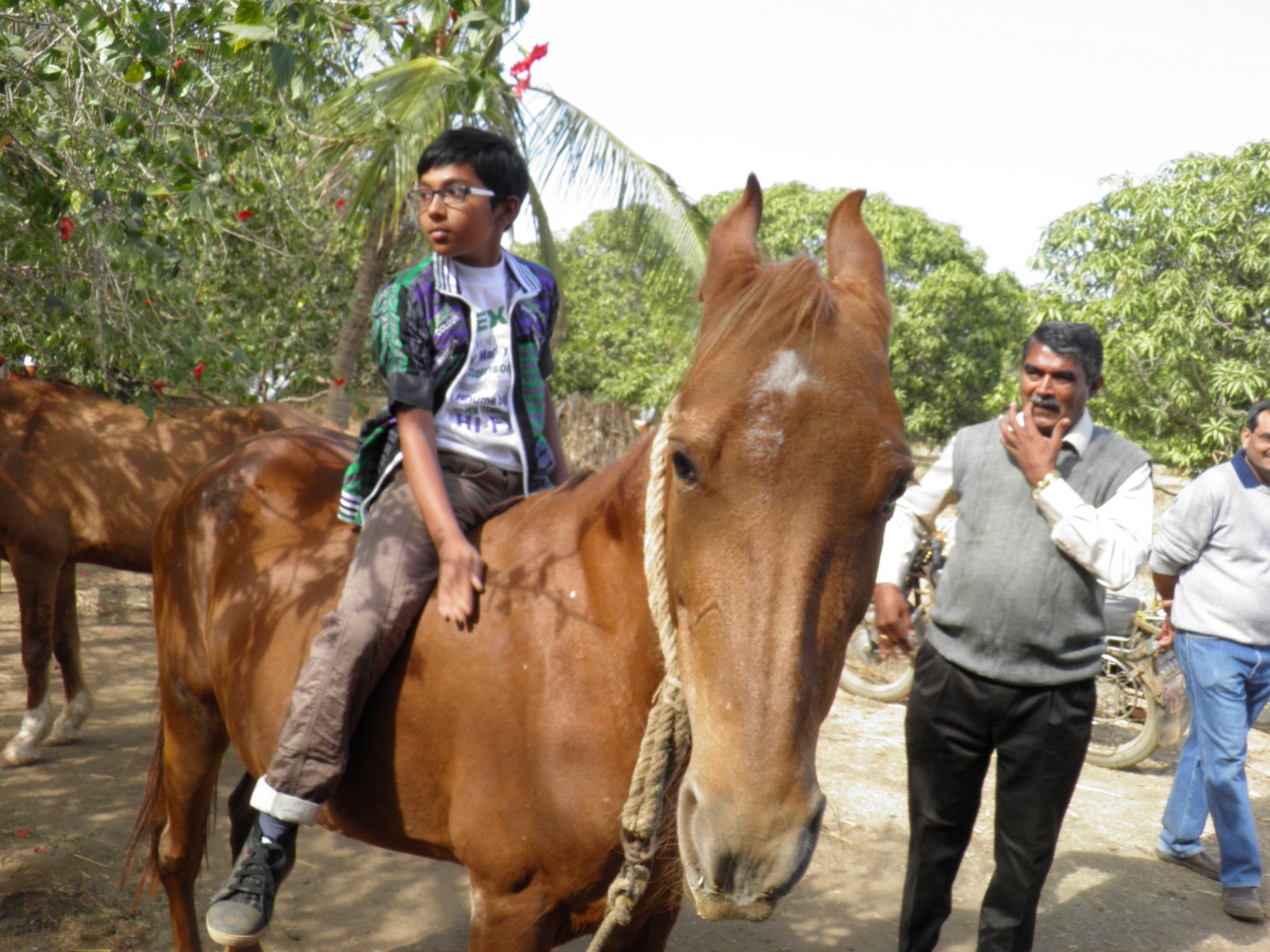 SHREE R D JHALA HORSE RIDING CLUB RAJKOT: MAULIK,JENISH AND GOHEL SIR