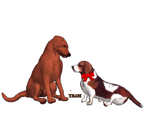 Paul' Web Logs: Deaf Dogs - Sign Language - Training