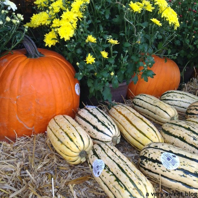 Fall. Leaves. Apples. Pumpkins. | A Very Sweet Blog