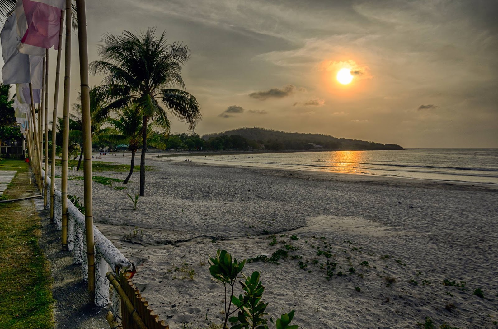 Coastal Dusk and Dawn of Northern Philippines | AvianQuests