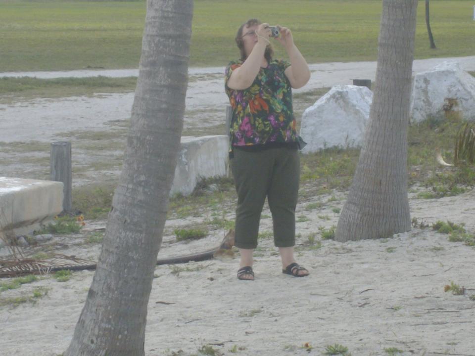 Key West Collies: Tourist Guide