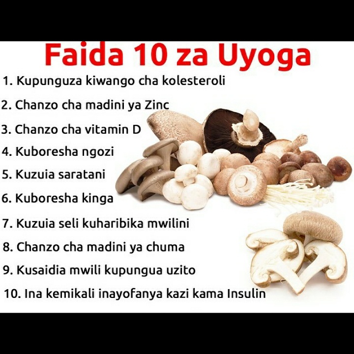 FURAHISHA_GOSPEL: FAIDA ZA MATUNDA MBALIMBALI MWILINI