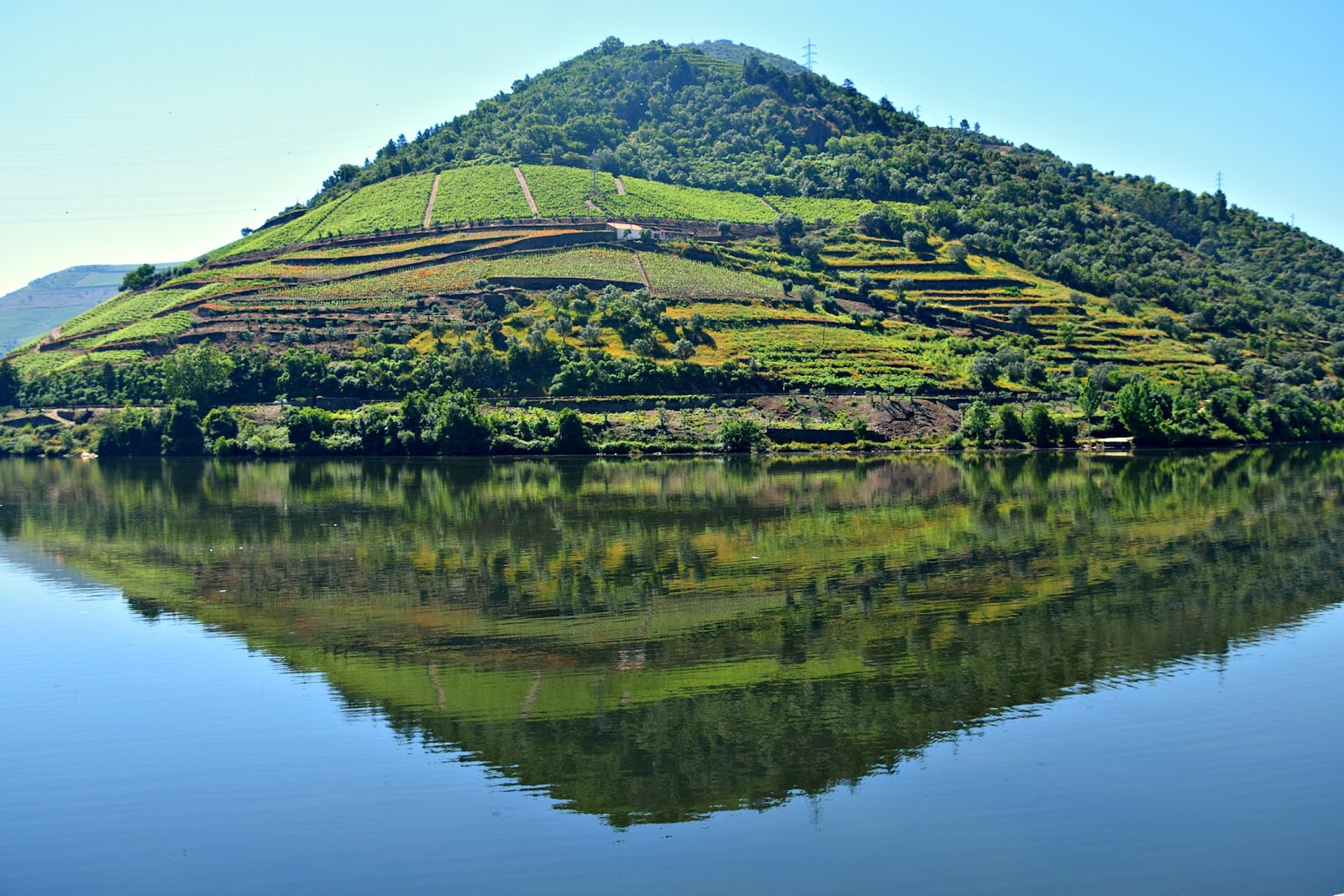 Scribbles and Smiles by J Christina: Douro River Valley Wine Region ...