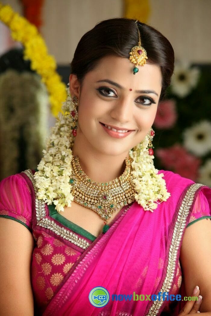 Nisha Agarwal Marriage Images Clipart