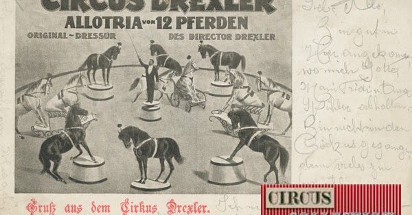 Circus -Collection: Circus Drexler 1904, carte postale