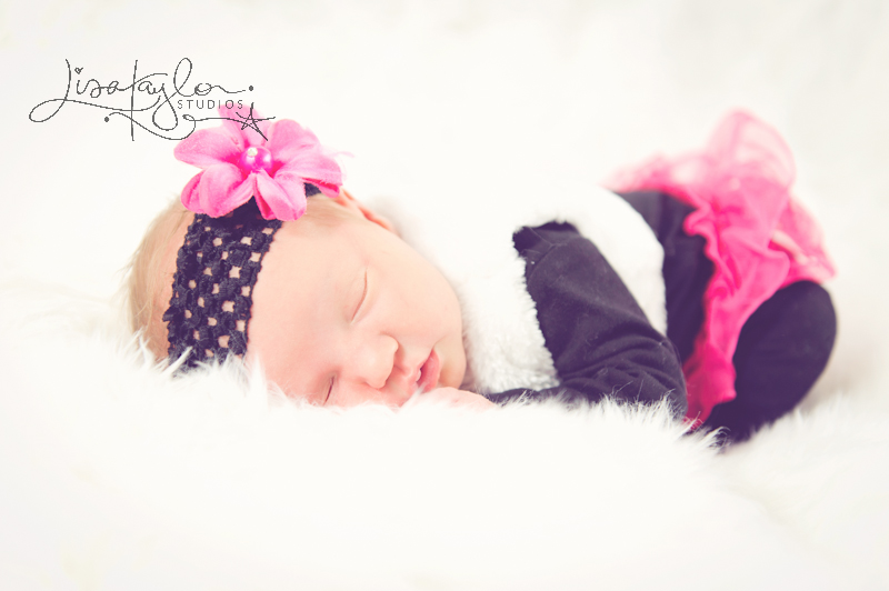 Lisa Taylor Studios | Utah Photographer