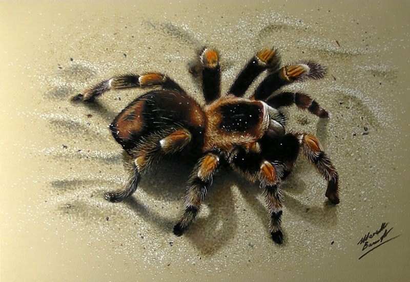 Design Stack: A Blog about Art, Design and Architecture: Exploring Tiny ...