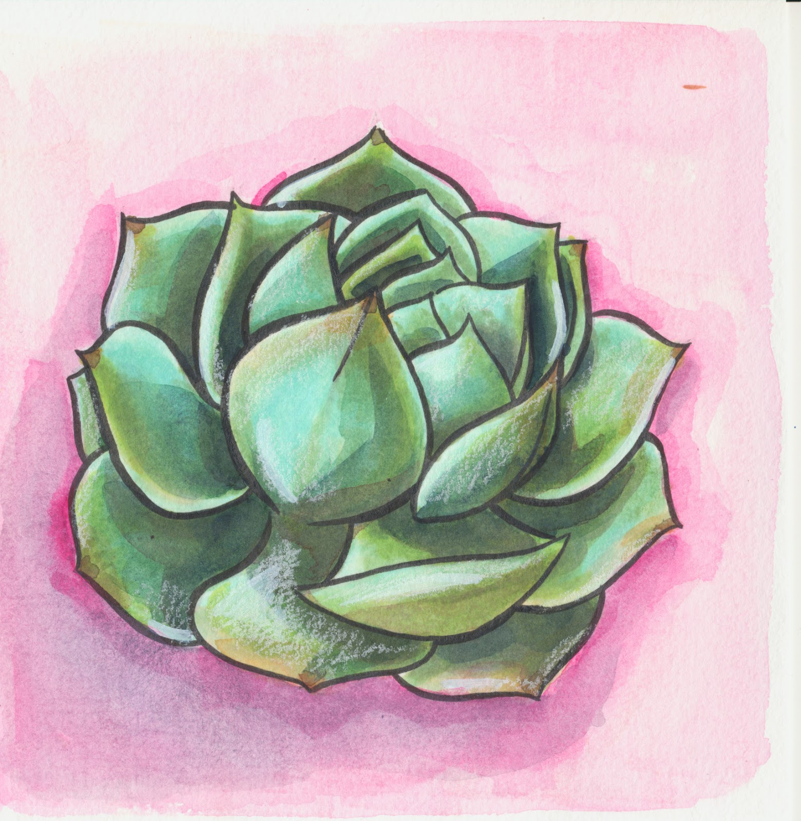 Using Marker with Watercolor- Succulent Studies