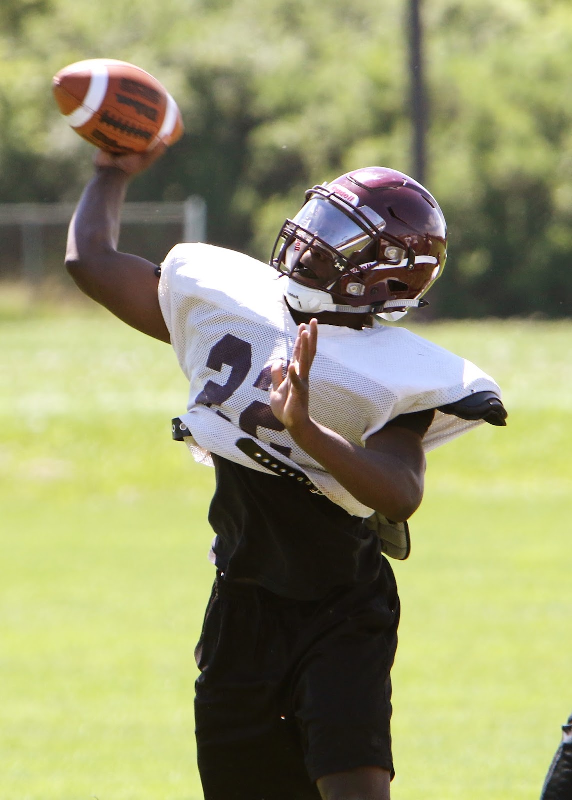 Mark Kodiak Ukena: Zion-Benton Township High School Summer Football