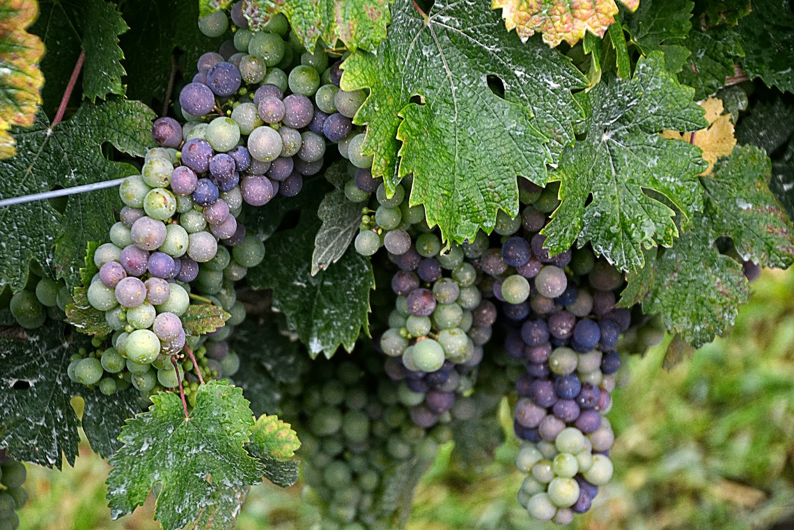 My World in Pennsylvania and Beyond: September 2013