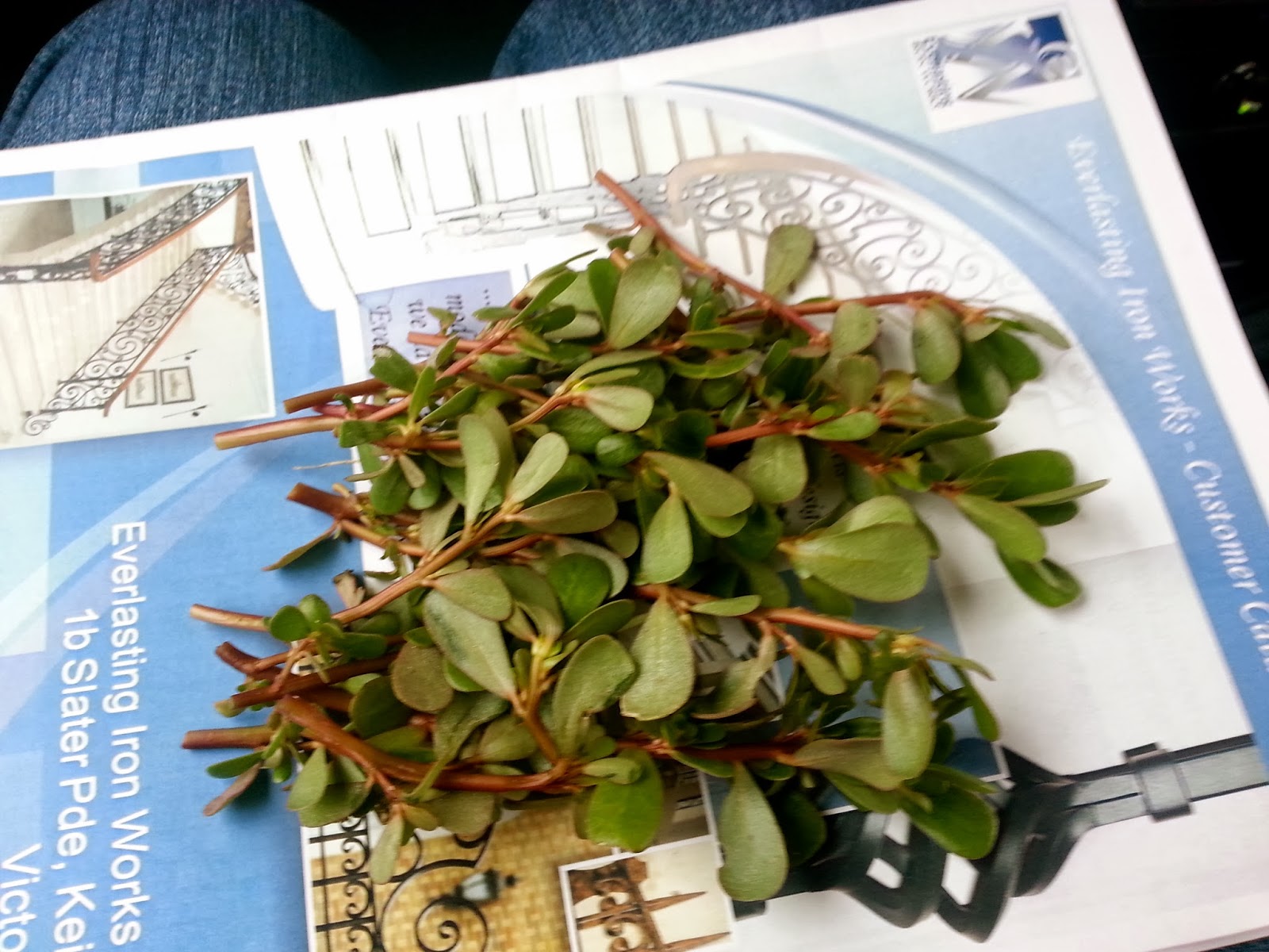 Shruti's Blog: The Gyre of Ghol