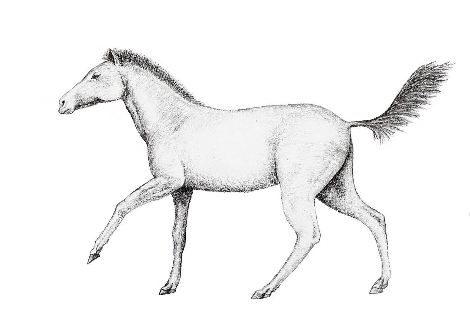 Il·lustració Científica: marzo 2013