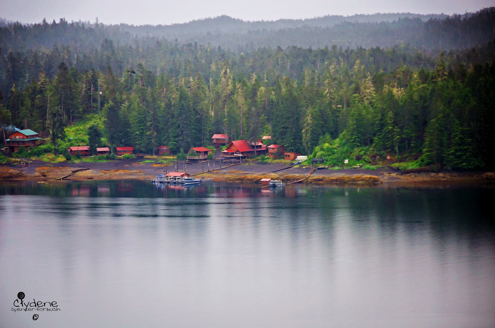 Skunk Hollow: Pybus Point Lodge, Alaska