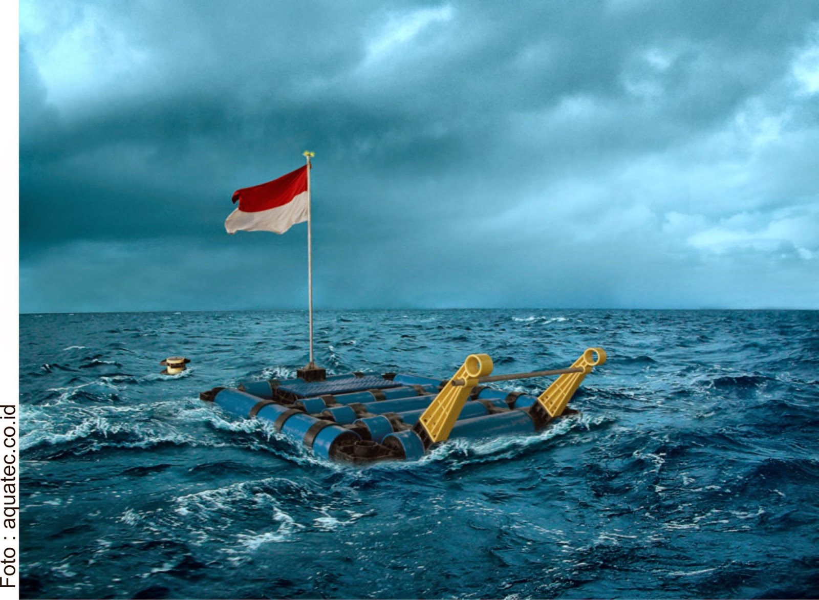 Rumpon atau Payao : Alat Pengumpul Ikan - Lalaukan