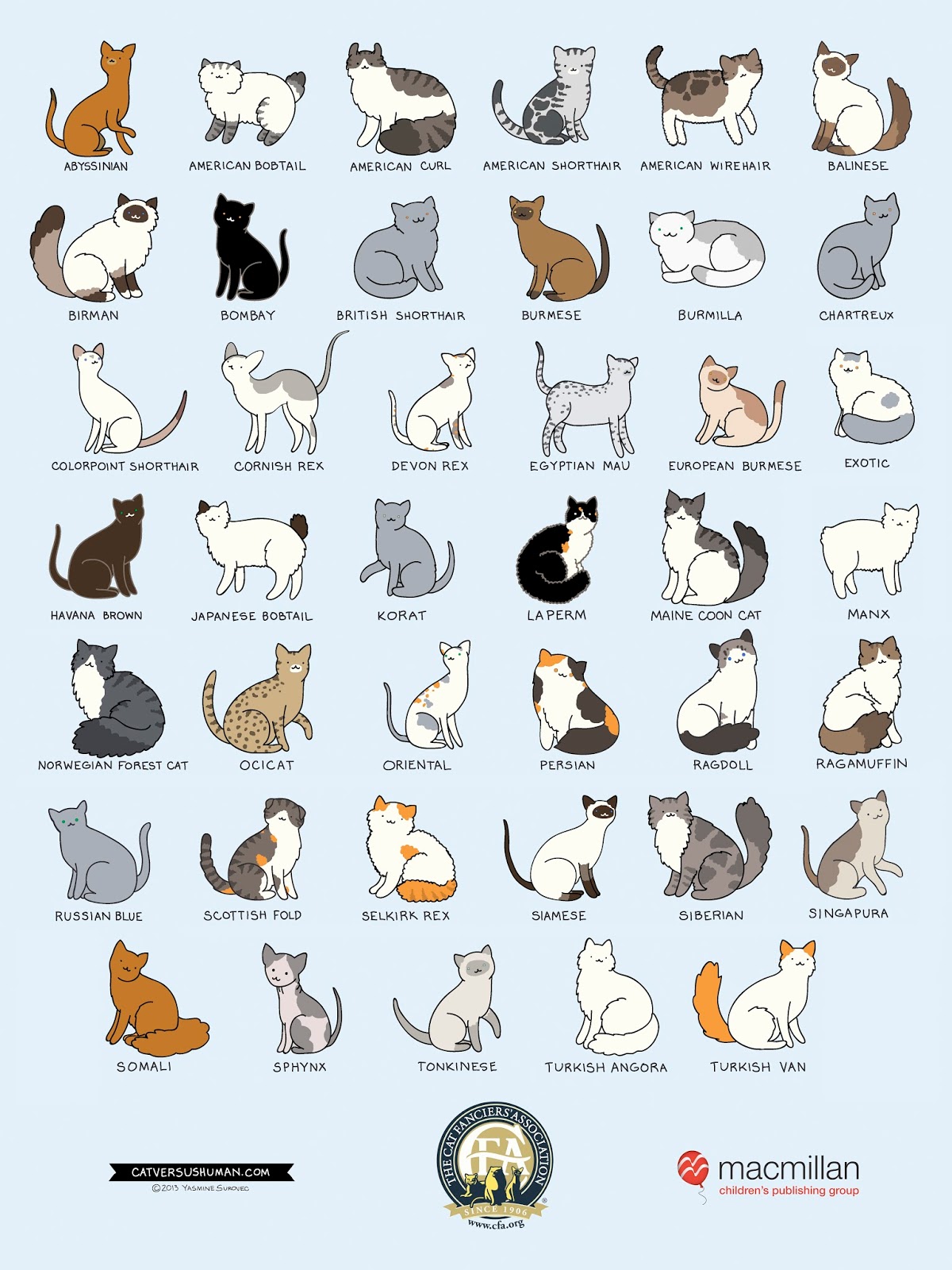 Cerita Perjalanan Maryam : Jenis-Jenis Ras Kucing!