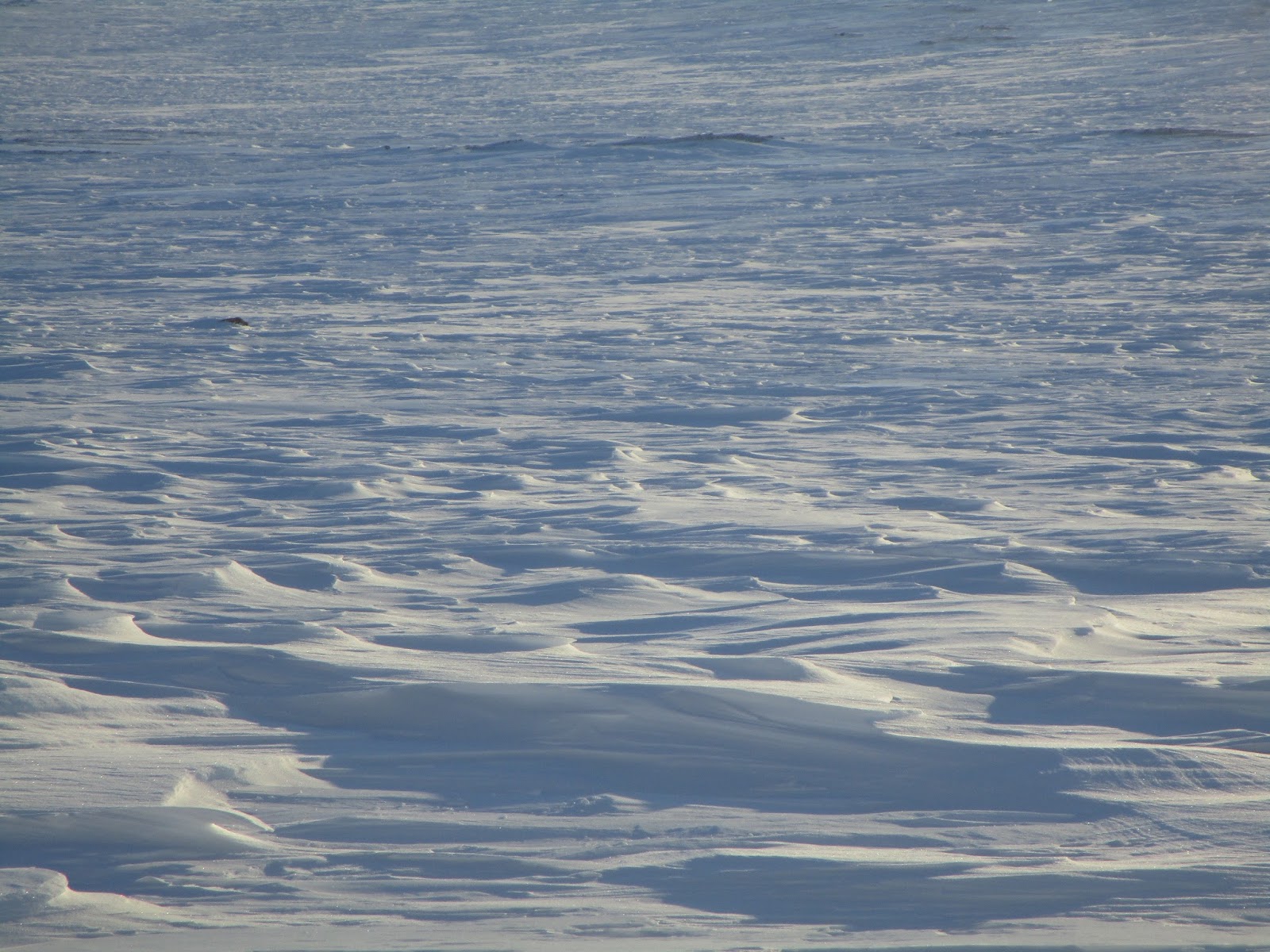 EH2R - latest work in progress: Arctic Snow sublimation physics is very ...