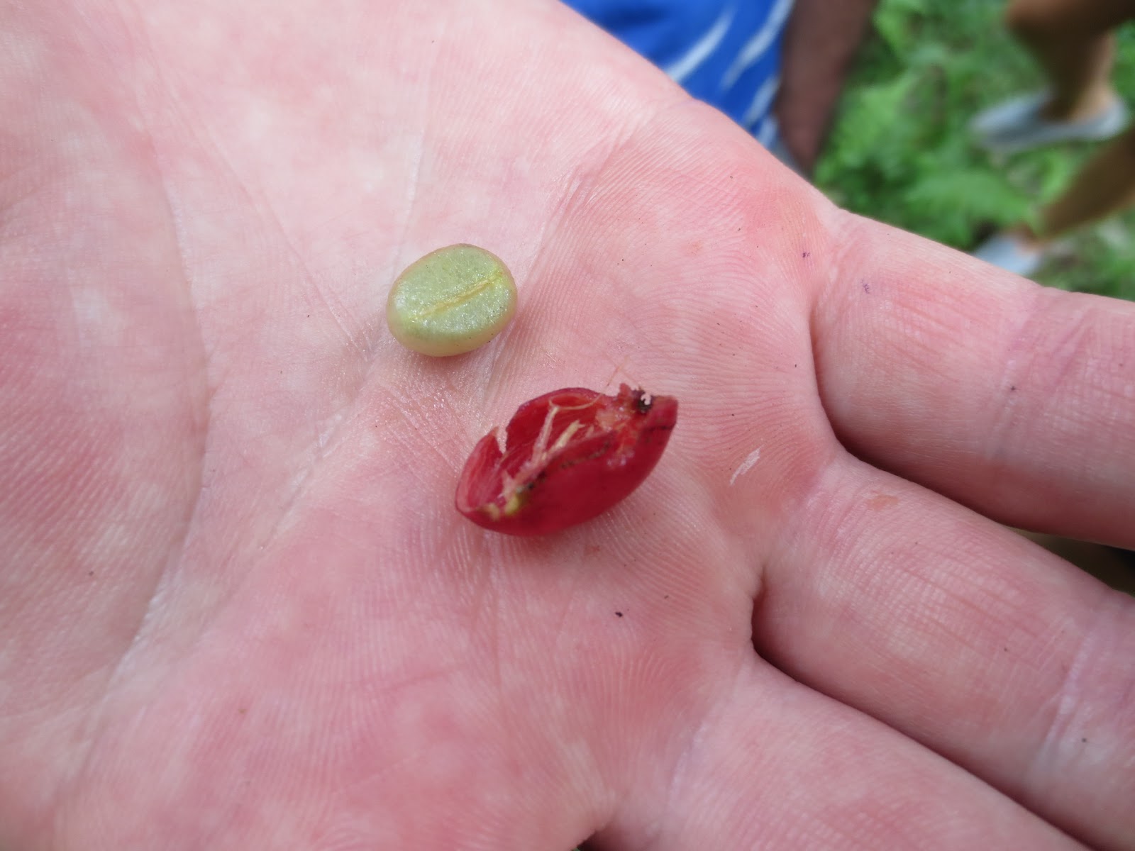 ASIA Liana: 2/13 Poopa in Kuta (Lombok/Indonesia)