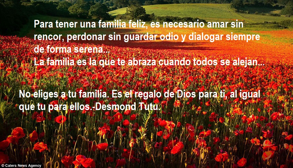 SENTIMIENTOS DEL ALMA Y EL CORAZÓN TRANSFORMADOS EN PALABRAS.: 2017