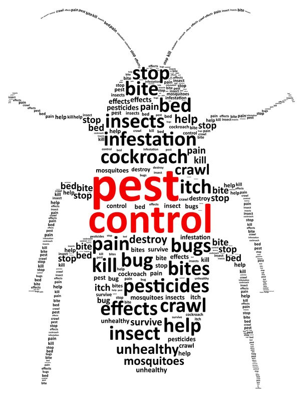 Alco Pest Control: PEST CONTROL IN BERGEN COUNTY NJ