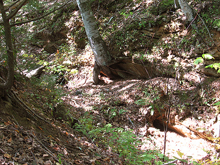 La Vie Graphite: graphite roots