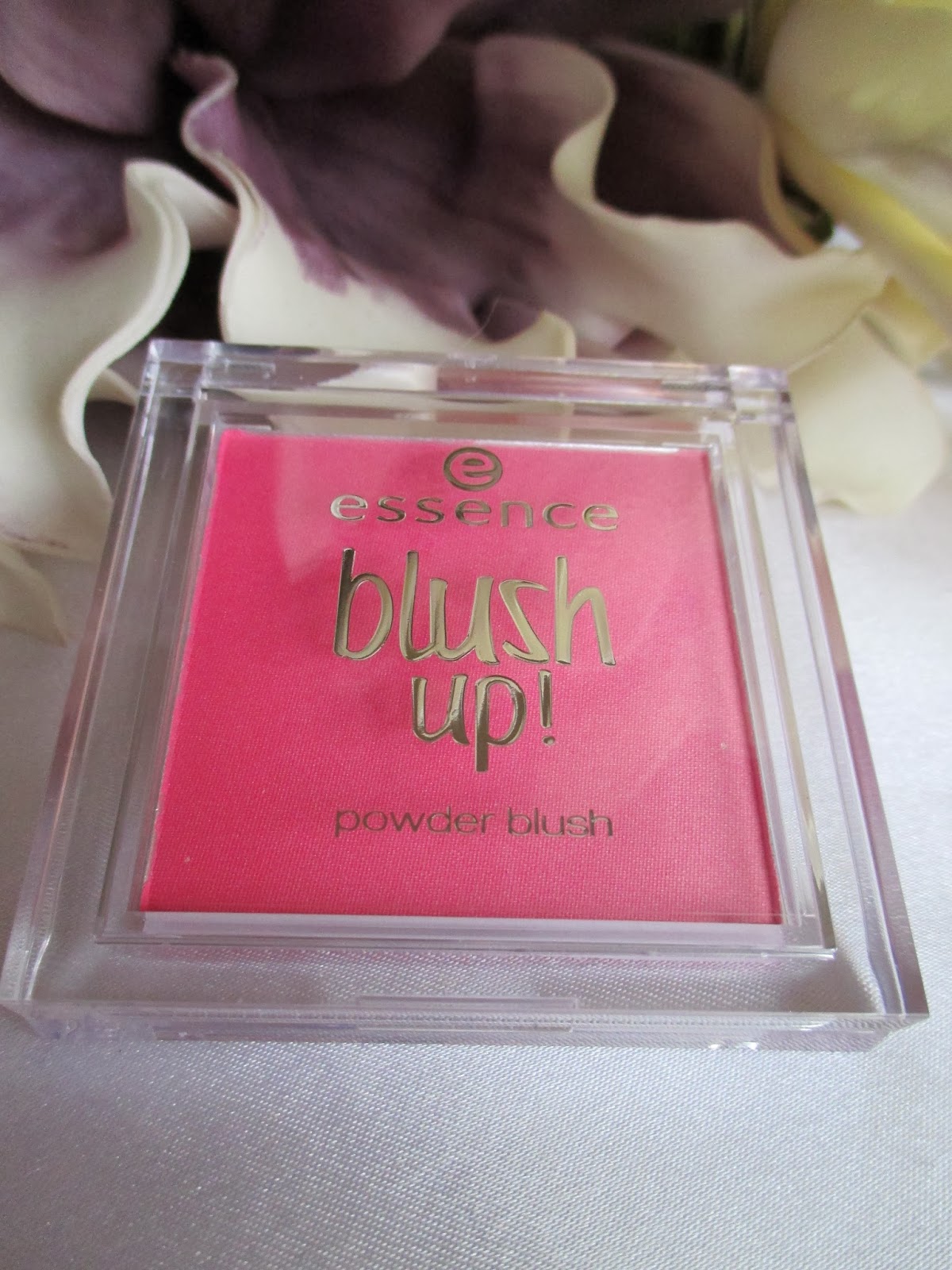 Annechiens Budget Beauty: Nieuw! Essence Blush Up Powder Blush