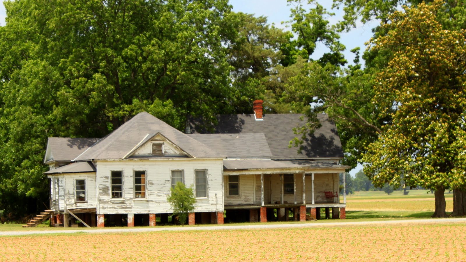 Aunt C's: The Old Homeplace