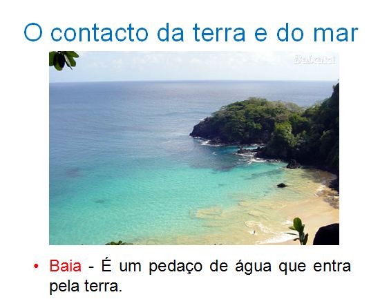 Ler e Compreender para Aprender: Aspectos da Costa