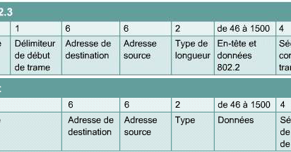 Champs des trames Ethernet