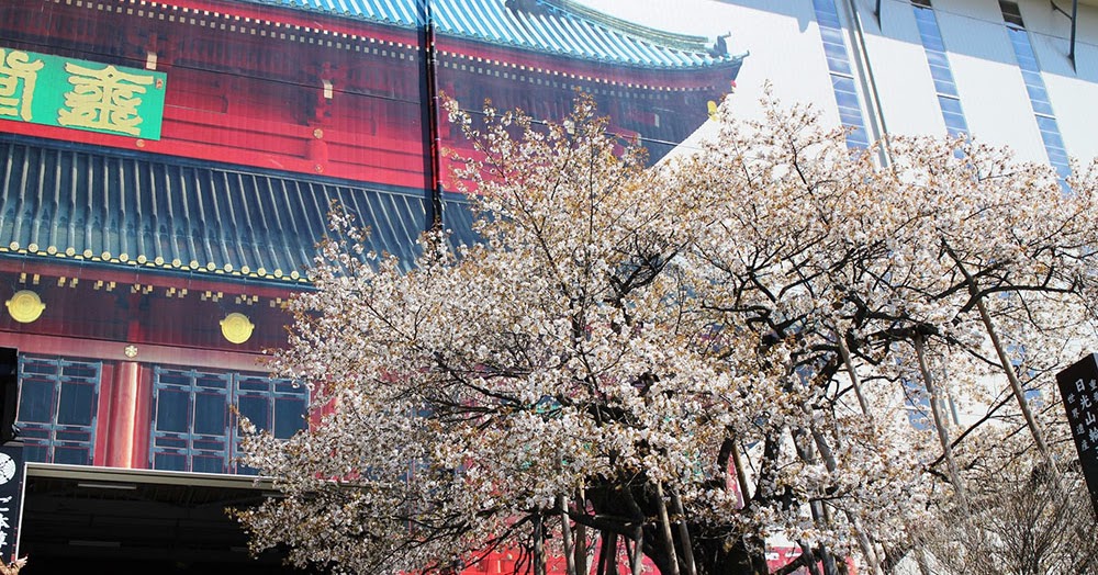 Pinoy Gazette: Spring in Nikko