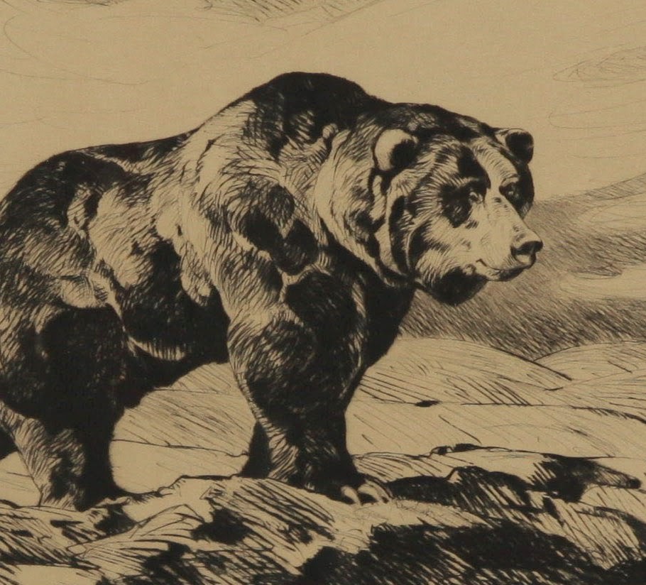 Garret's Drawing A Day Blog: Carl Rungius