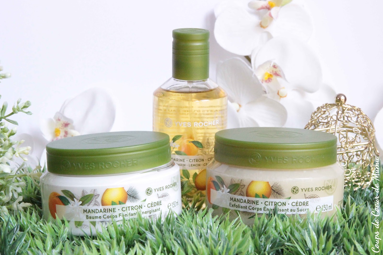 Affiche Yves Rocher Télécharger Gratuit