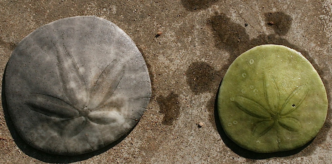 iiwii (it is what it is) so make the most of it...seriously: Week 31 ...