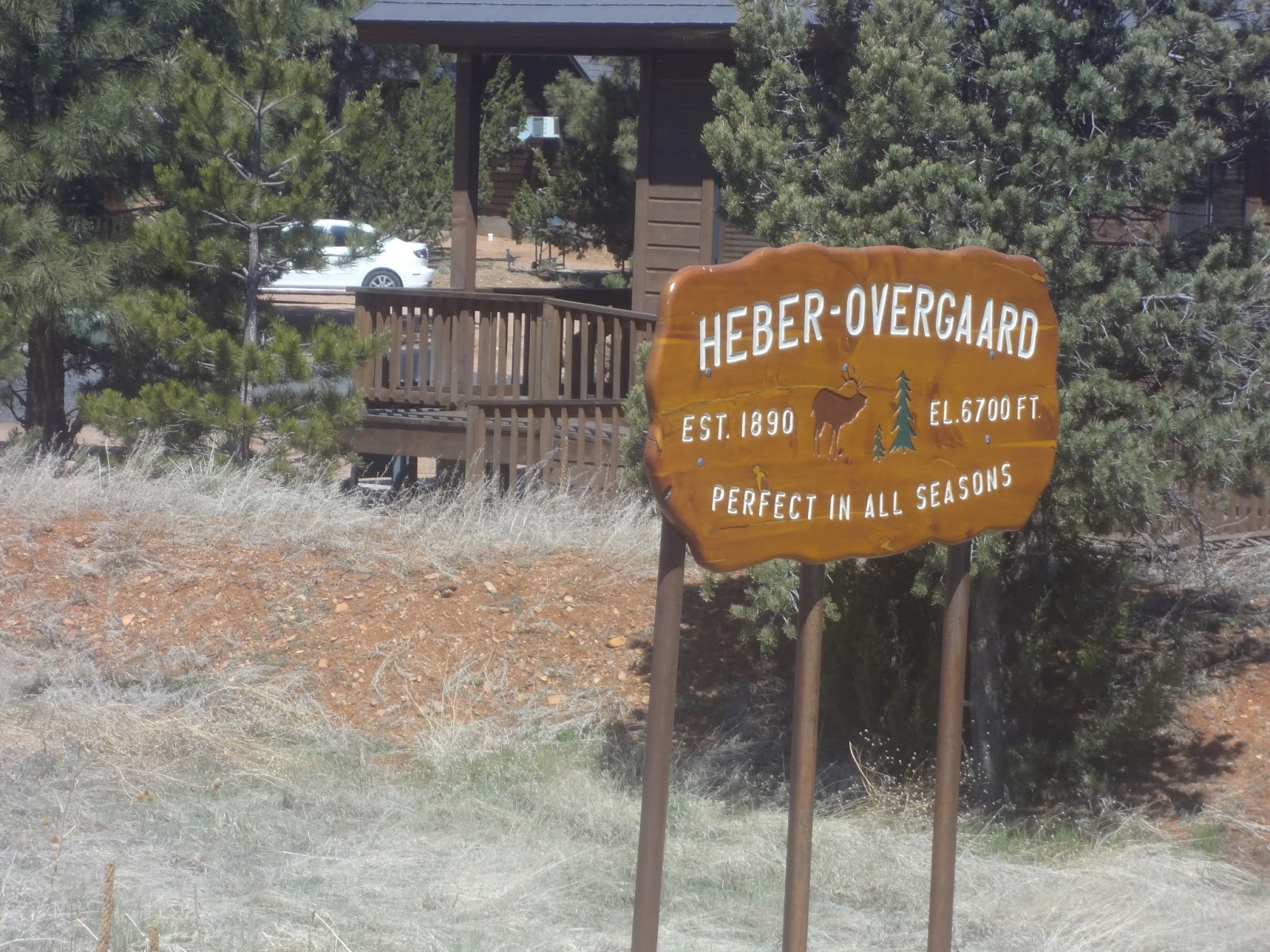 The travels of the Rambling Roses: Overgaard/Heber to Payson Arizona ...