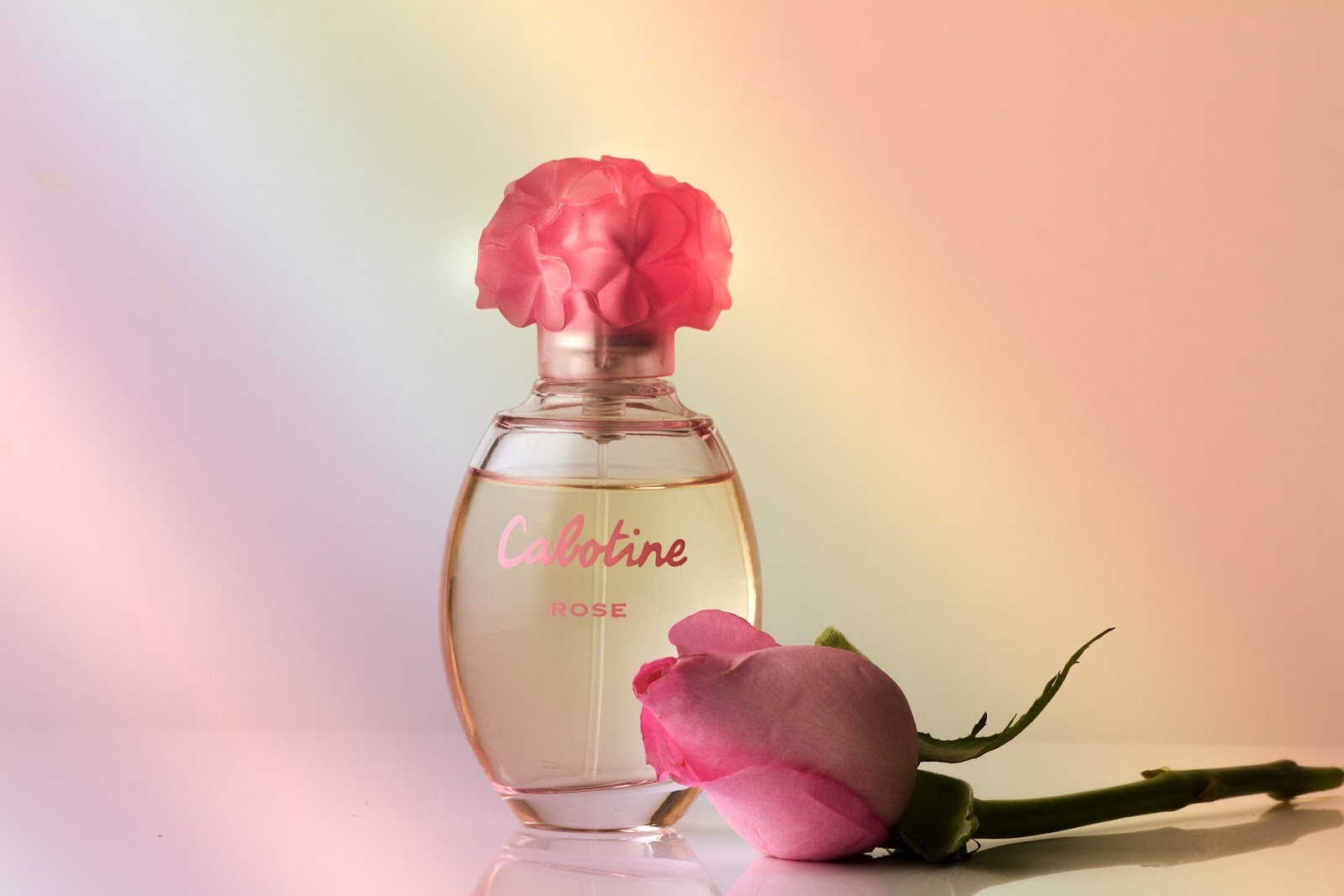 ¿CUAL ES LA ROSA MAS PERFUMADA?