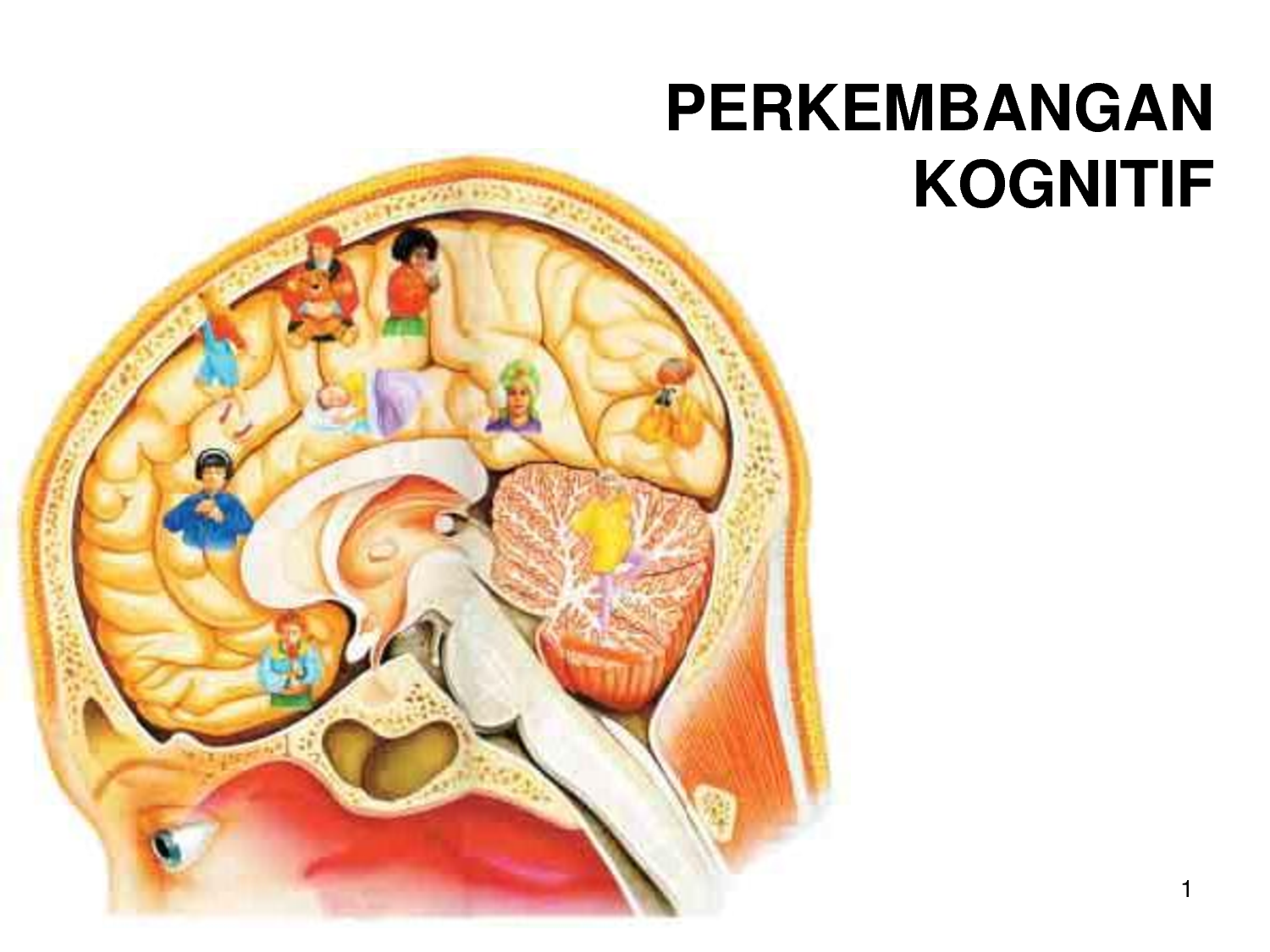 Pengetahuan Umum Kebidanan: Perkembangan Kognitif Pada Remaja