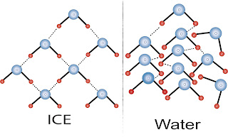 Chemistry: Why does water expand when it freezes?