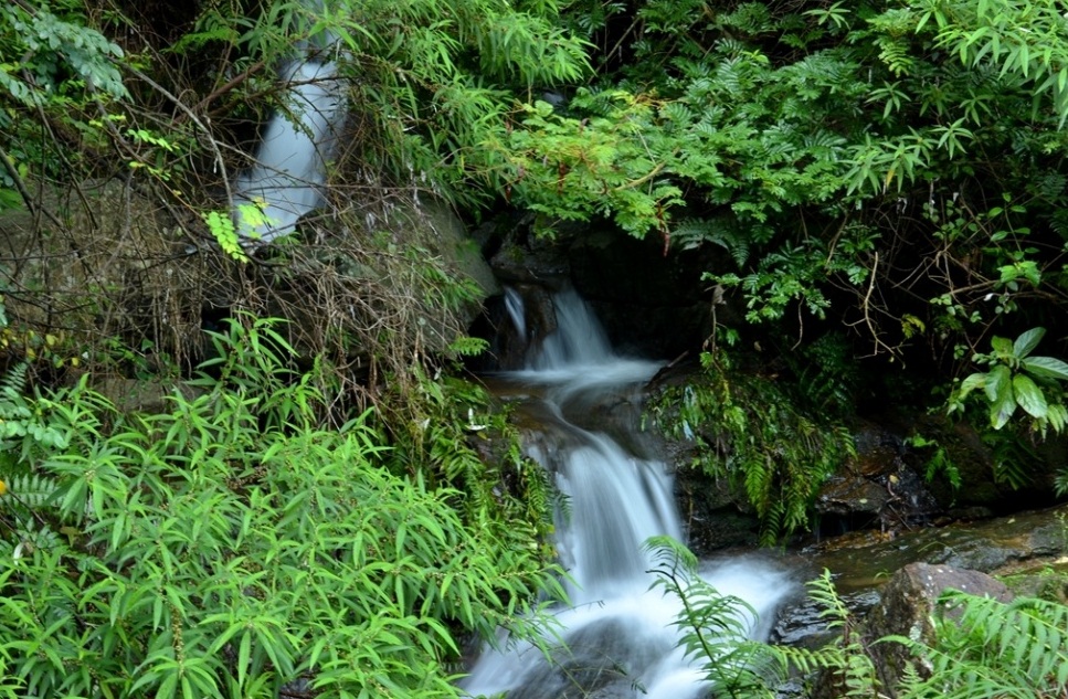 Tamilnadu Tourism: Manjolai Hills, Thirunelveli